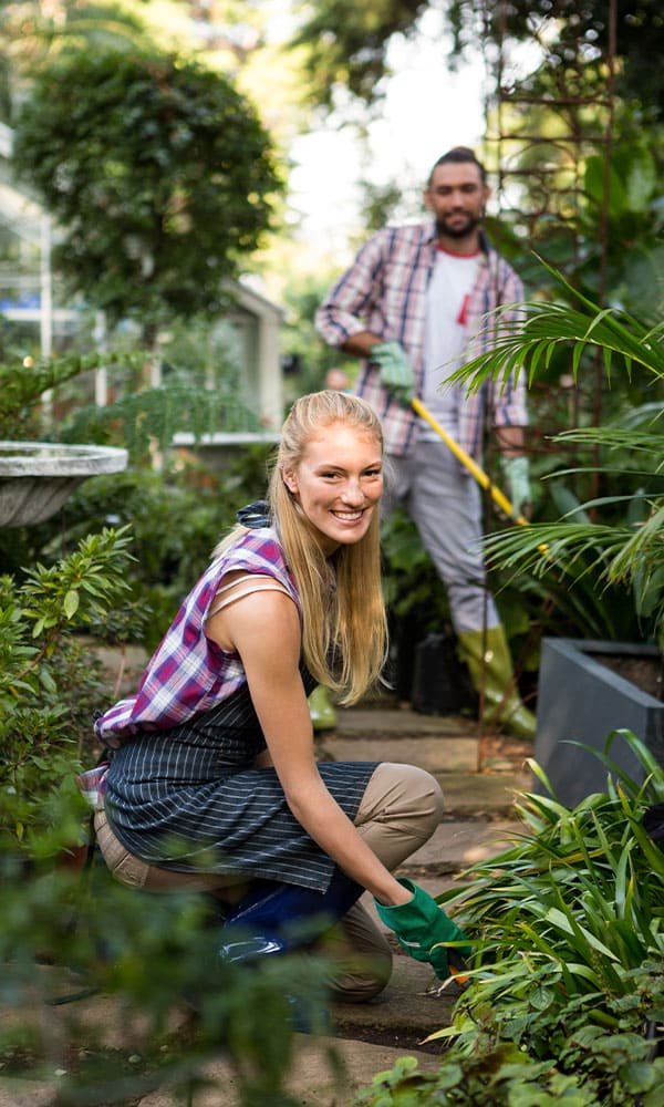 timelesshealthservices.com – Comprehensive Housing Stabilization, Adult Rehabilitative Mental ...